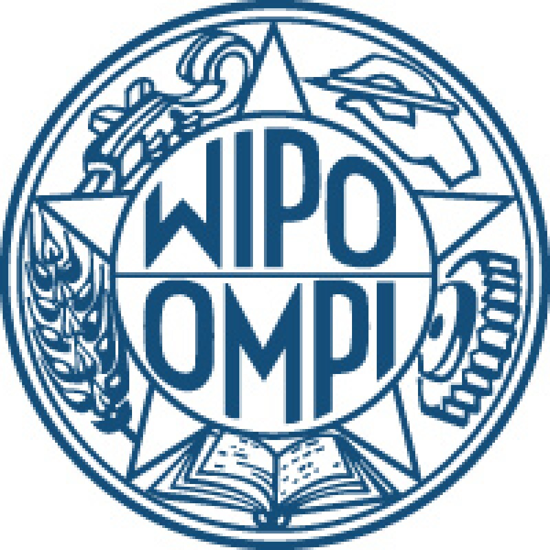 What's next as the UDRP turns 10 | Managing Intellectual Property
