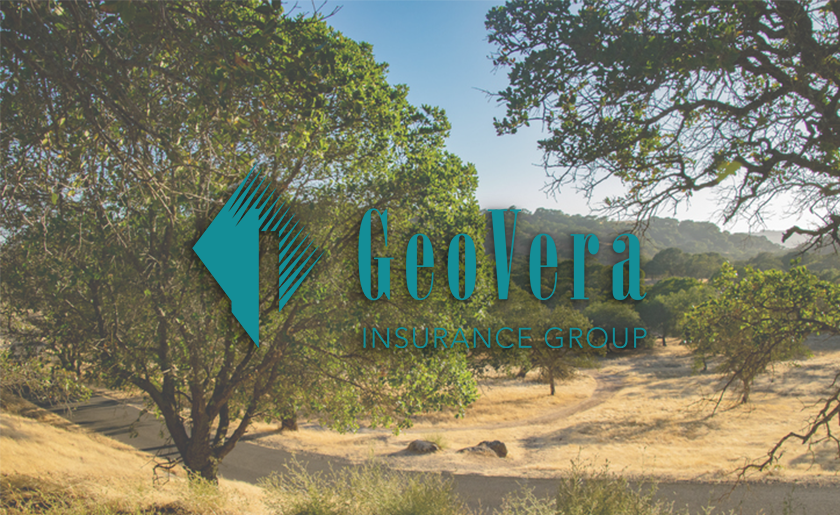 GeoVera: Extracting more than the sum of the parts | Insurance Insider US