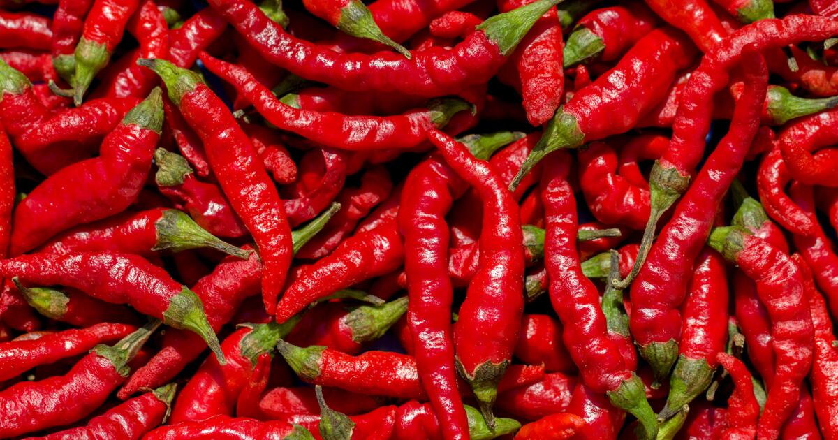 JC Flowers' Pepper buys servicer Computershare Loan Services