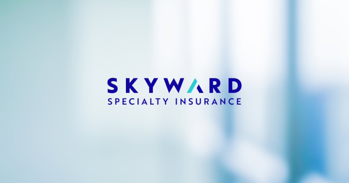 Skyward appoints RSUI’s Smith SVP of E&S property | Insurance Insider US