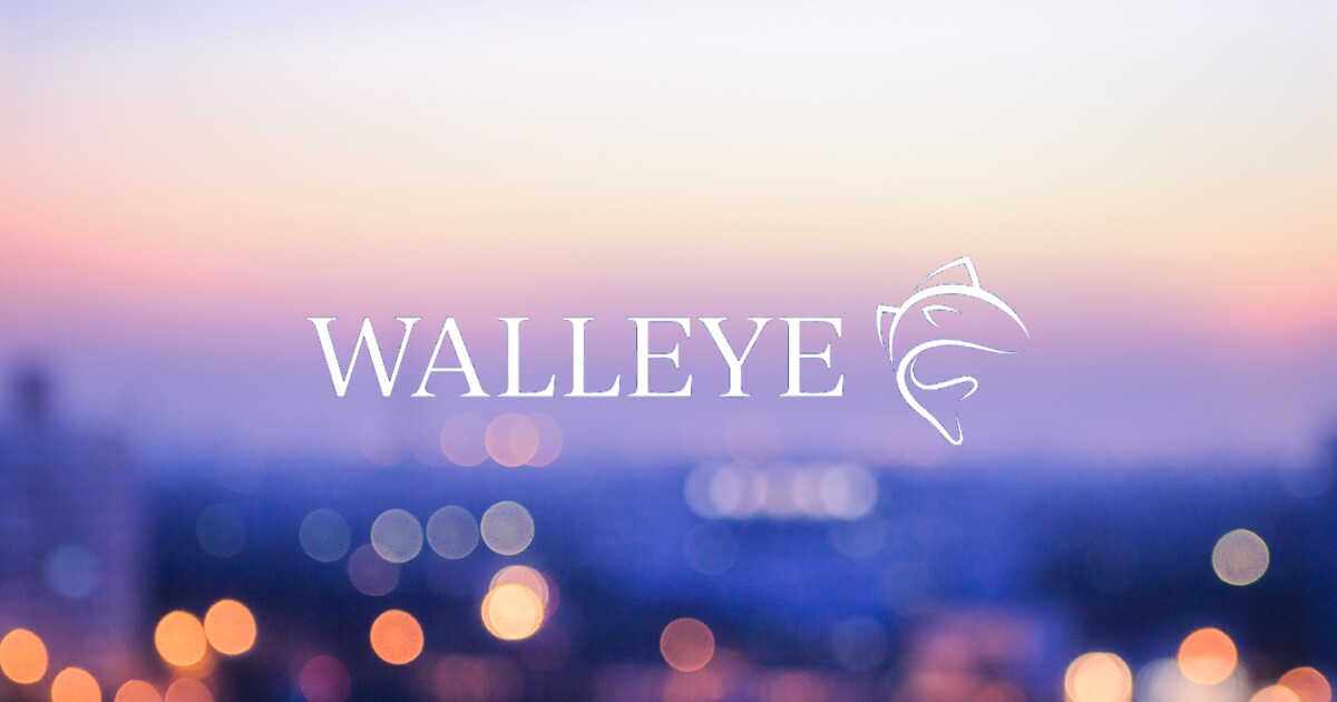 Walleye Capital allocates $100mn-$200mn to high-risk, high-return ...