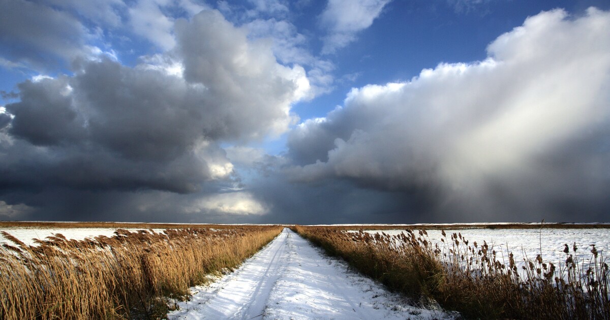 RMBS recalibrates expectations amid 'whole different ballgame'